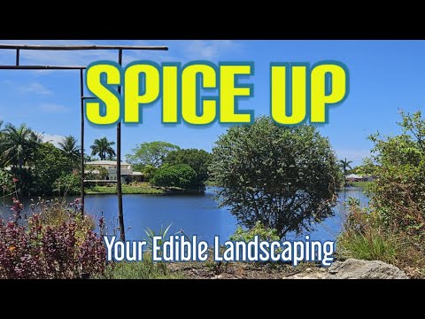 Highly Shapeable MOUJEAN TEA - YouTube