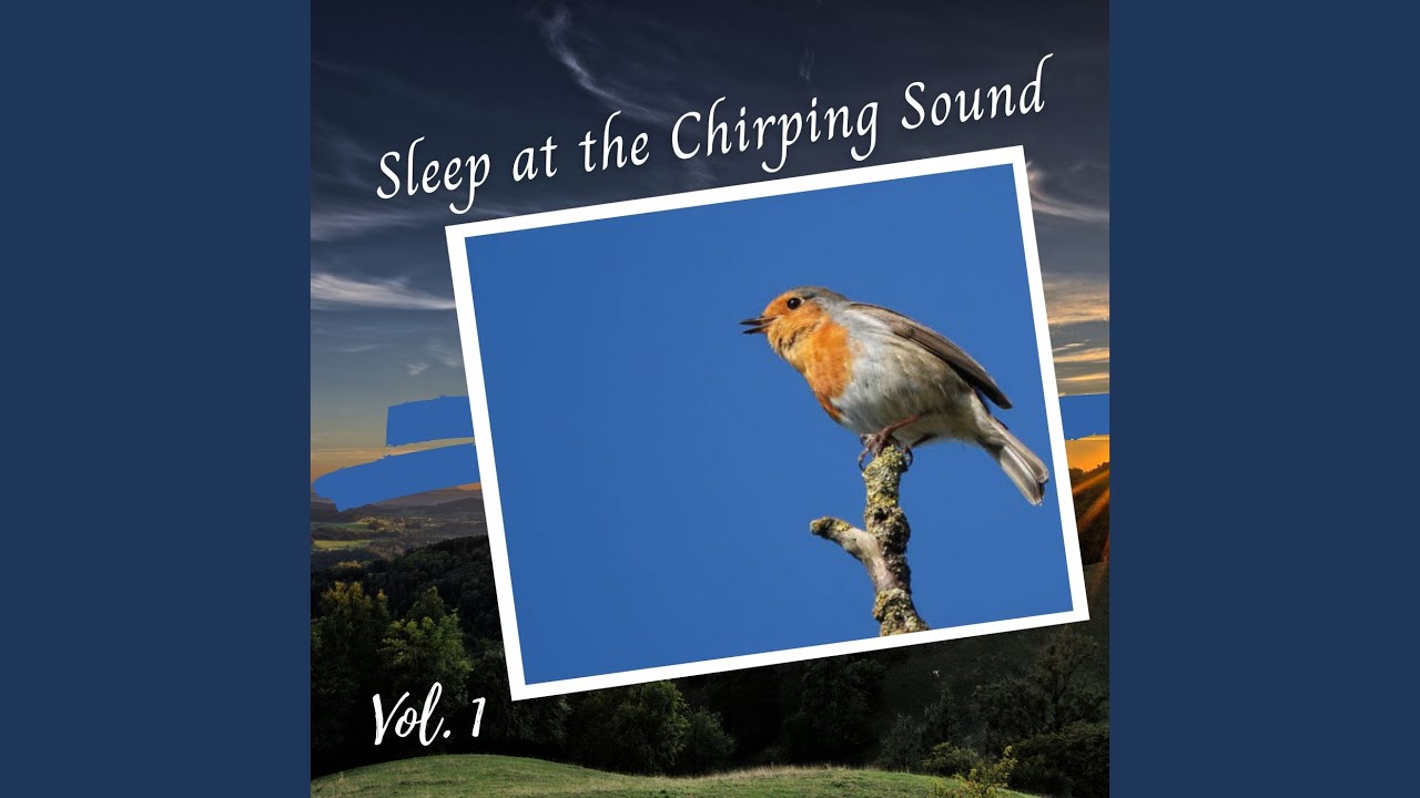 Silent Unity Meditations - YouTube