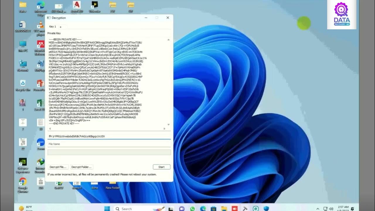 How to Decrypt Ransomware Encrypted Files: Step-by-Step Guide 2023 ...