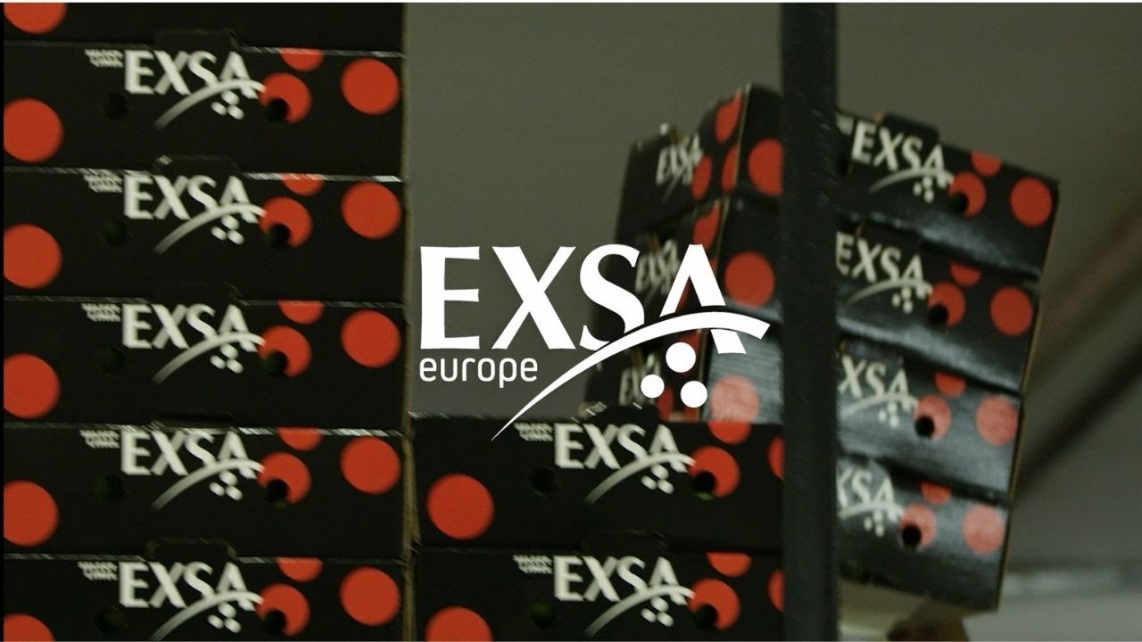 Packaging limes in Brazil | EXSA EUROPE BV. - YouTube