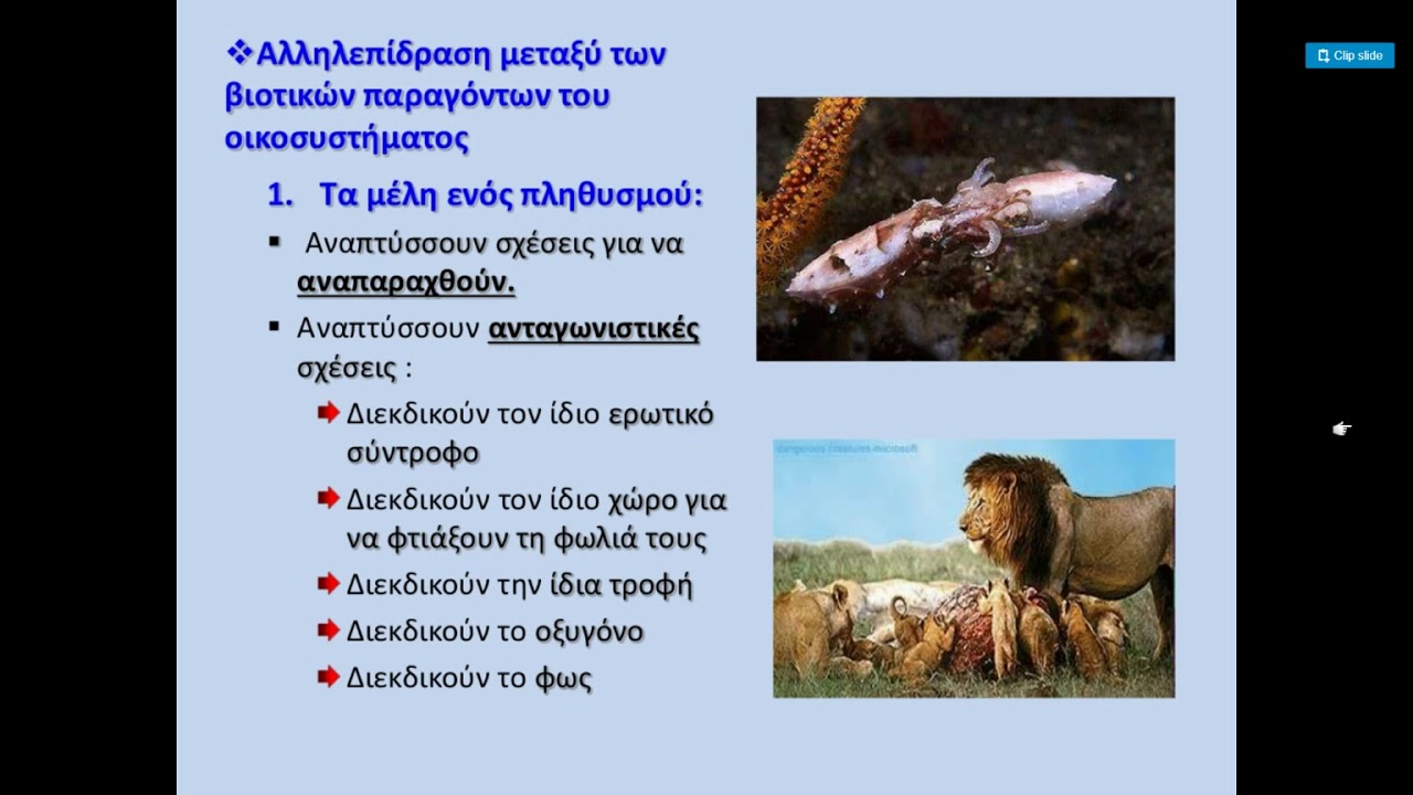 2 1 Ισορροπία στα βιολογικά συστήματα - YouTube