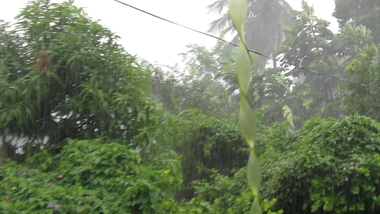 Rainy Day - West Coast Guyana - YouTube