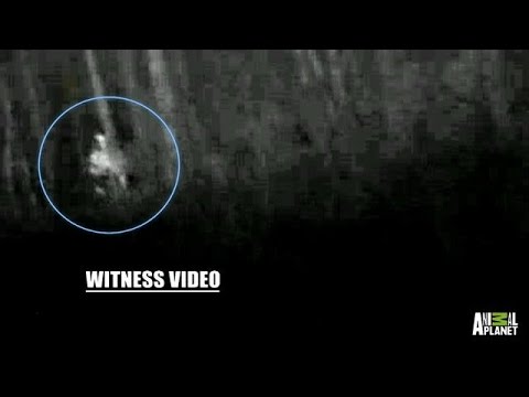 Creepy Sounds and Sightings on \