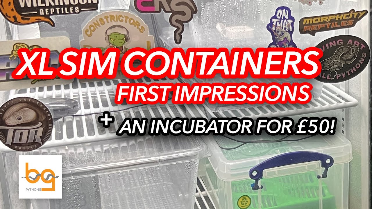XL Sim container for snake eggs and reptile incubator cooler conversion ...