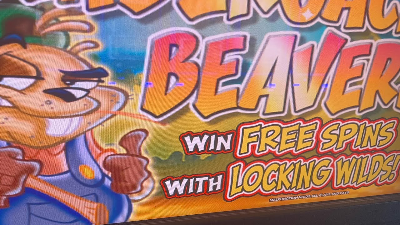 Morning Beaver - YouTube