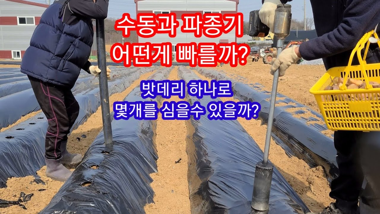 밧데리 하나로 씨앗감자를 몇개를 심을까충전 전동드릴 파종기와 수동속도비교 감자심는방법 귀농귀촌전원일기 주말농장텃밭