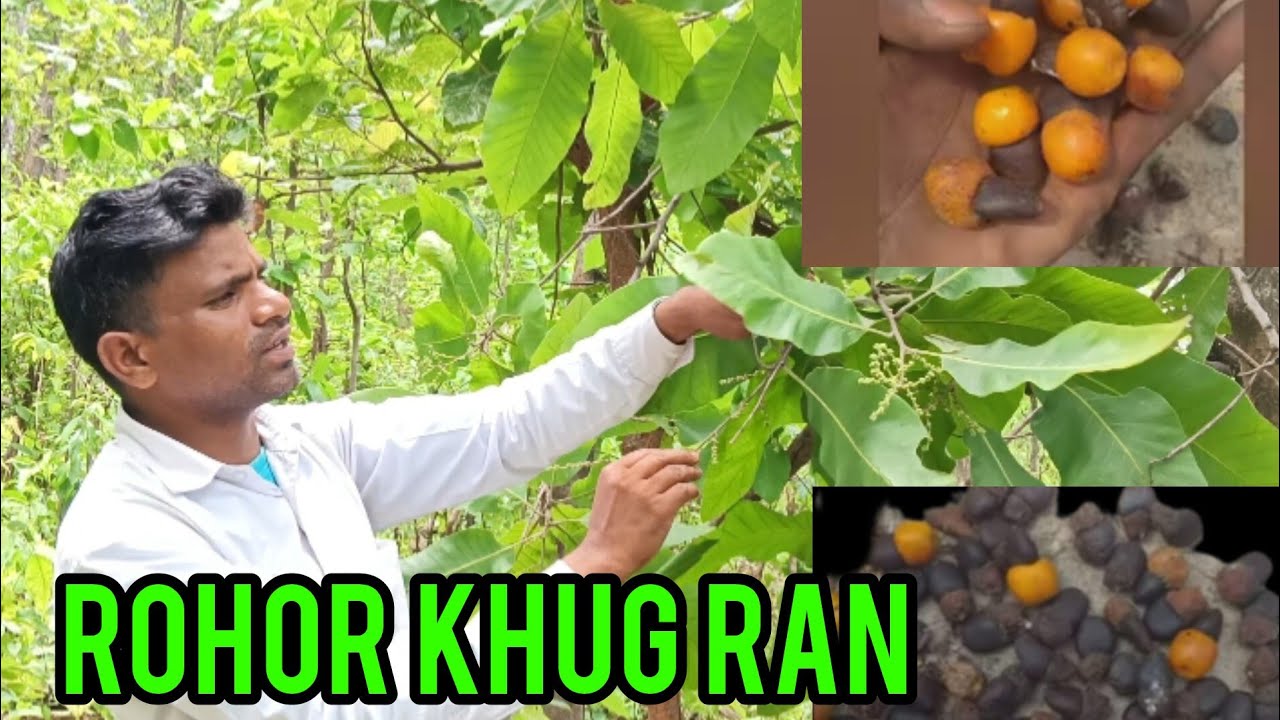 Soso jang renag satik gun ran./santali video/#juri buti kubiraj jujhar ...