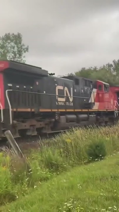 CN 422 in a Thunderstorm!! #train #railroad #railway #shortvideos - YouTube