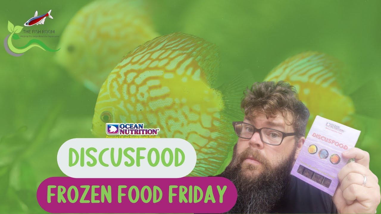 Frozen Food Friday: Ocean Nutrition Discus Food - YouTube