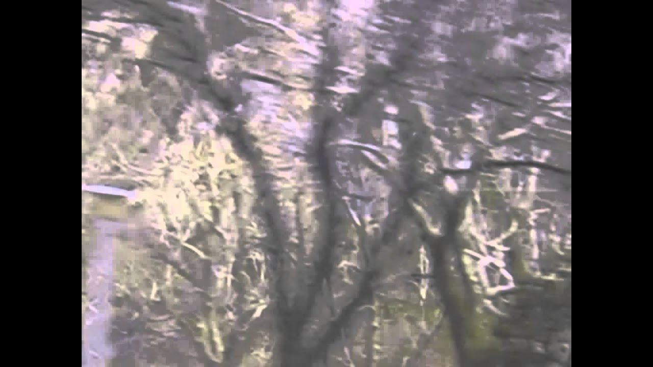 Tembi- Greece - YouTube