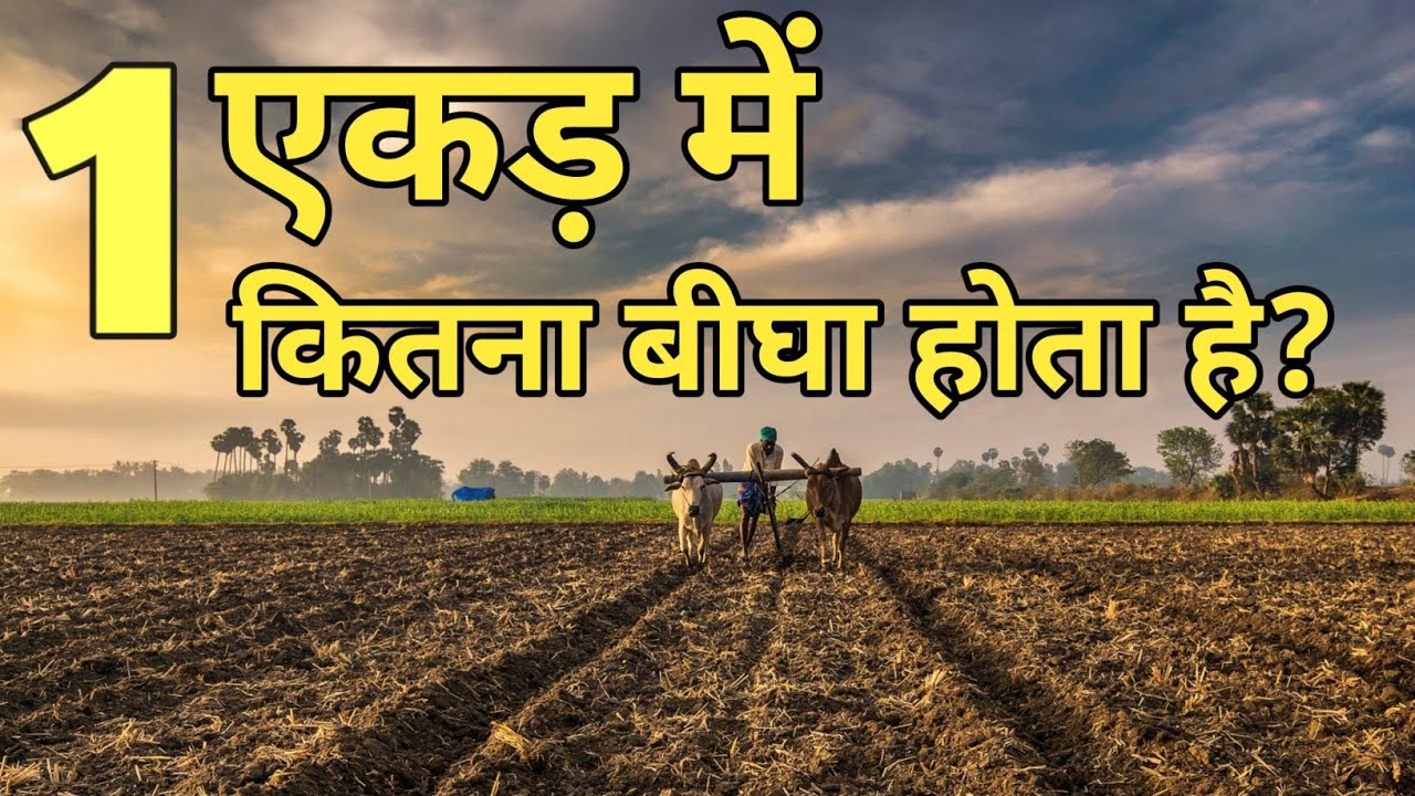  1 Acre Mein Kitna Bigha Hota Hai