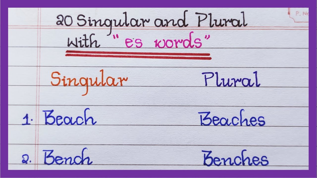 Singular and plural with es | in English | 10 | 20 Examples of Singular ...