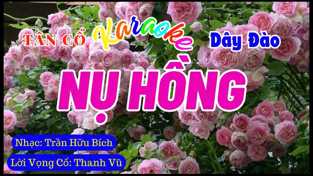 Karaoke Tân Cổ Nụ Hồng | Câu 1. 2. 6 | Dây Dào | Beat Chuẩn - YouTube