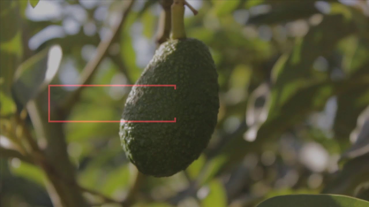 Reel (Grabaloaudiovisual) www.grabalo.cl - YouTube