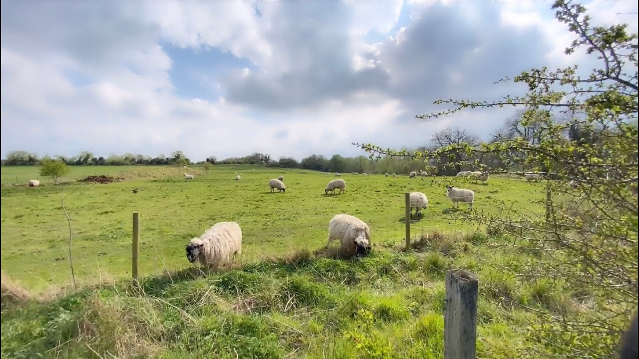 Grand Union Canal to Stanton Low Park - Milton Keynes Buckinghamshire ...