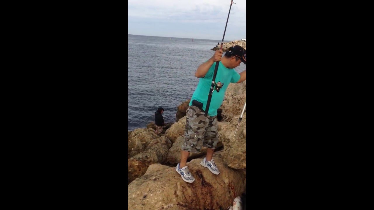 North Mole Fishing - YouTube