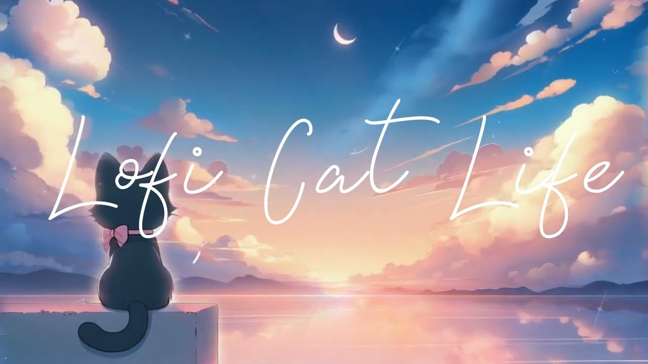 Lofi Cat Dreams 🌙 Gentle Sleep Music and Relaxation Sounds - YouTube