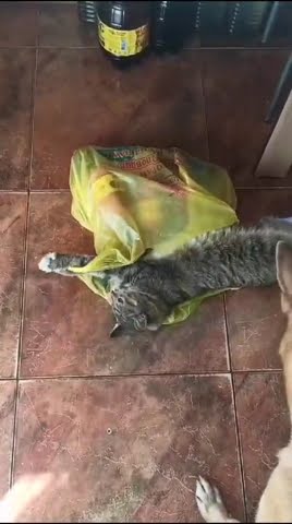 Это все моеее! Никому не дам!😋😂 - YouTube