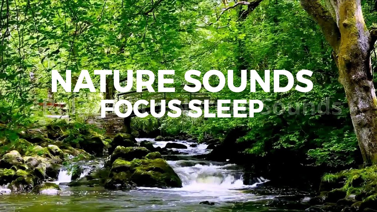 Nature Sounds-Relaxing Music Forest Waterfall-Natural Sleep Sound ...