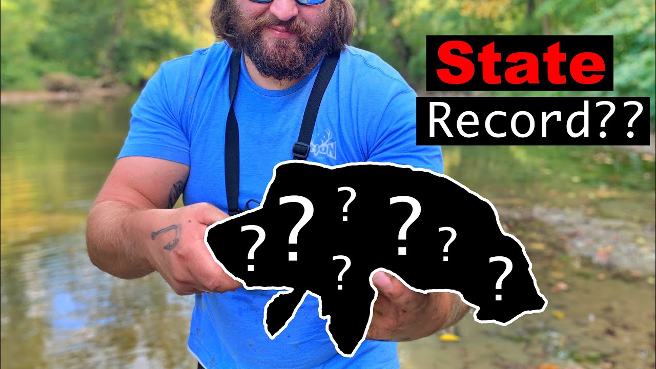 HUGE UNEXPECTED MYSTERY FISH caught FISHING A SMALL CREEK! - YouTube