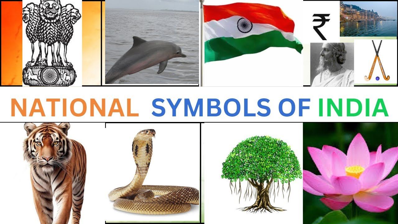National symbols of india, india national symbol - YouTube