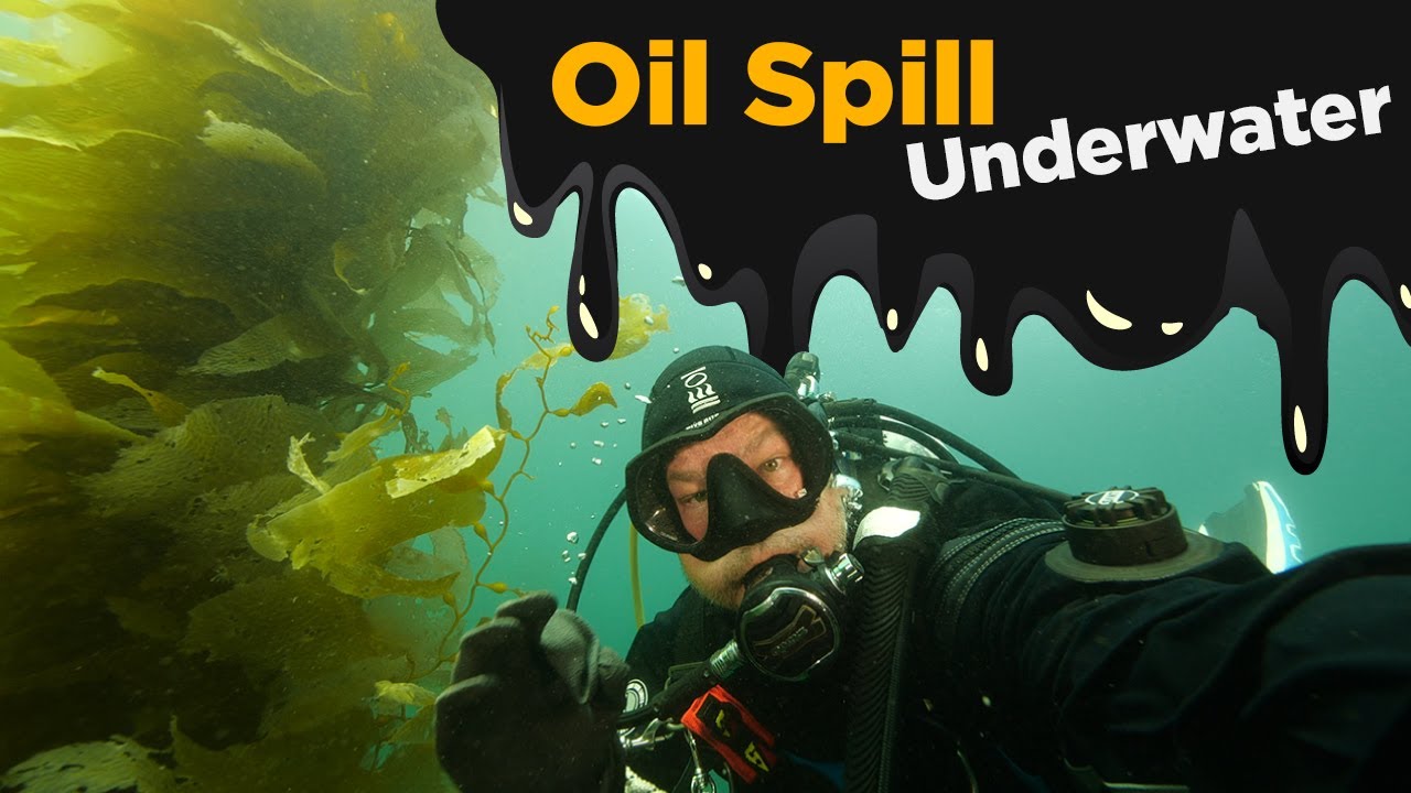 Major Oil Spill while Scuba Diving - YouTube