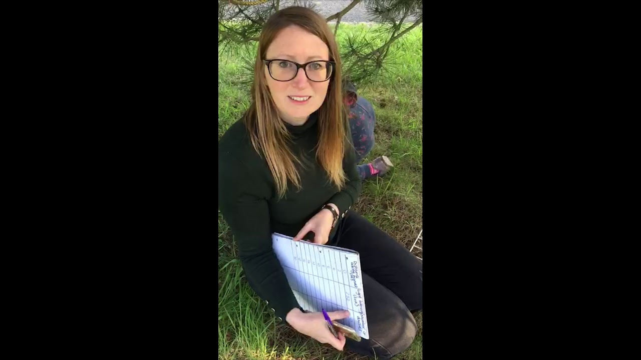 Edexcel Combined Science/ Biology GCSE Core Practical - Quadrats and ...