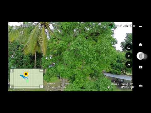 anunang / 1,000 sqm./5 m./40 mins. - YouTube