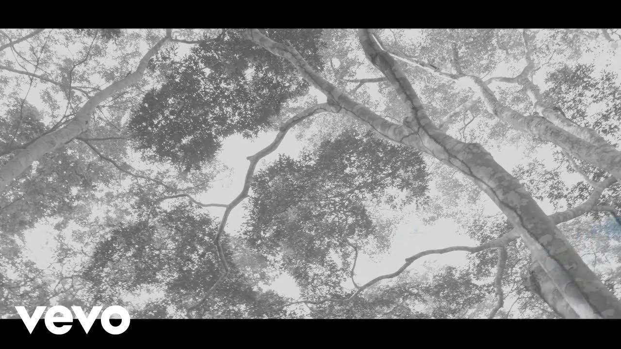 Drink The Sea - Outside Again - YouTube