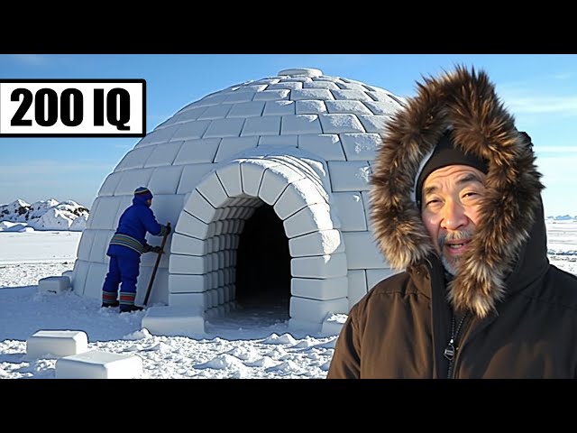 Inuit Igloo Inside 10 Inuit Tricks To Stay Warm Inside An Igloo