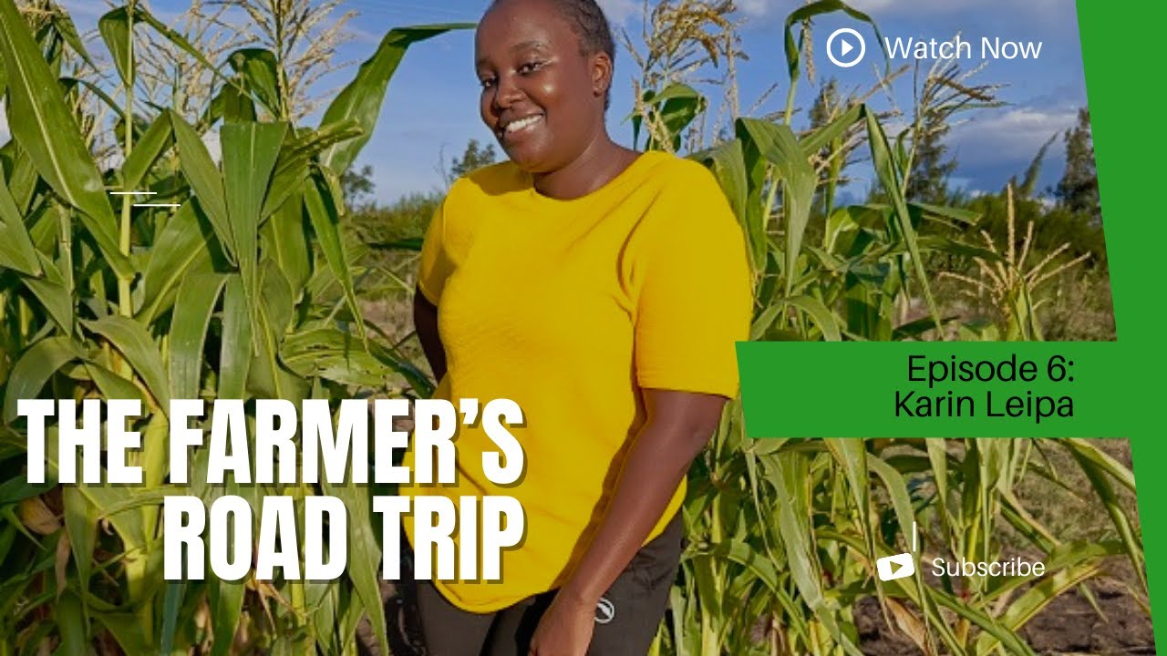 This Young Lady has decided AGRIBUSINESS is the way to Go | AFRICA ...