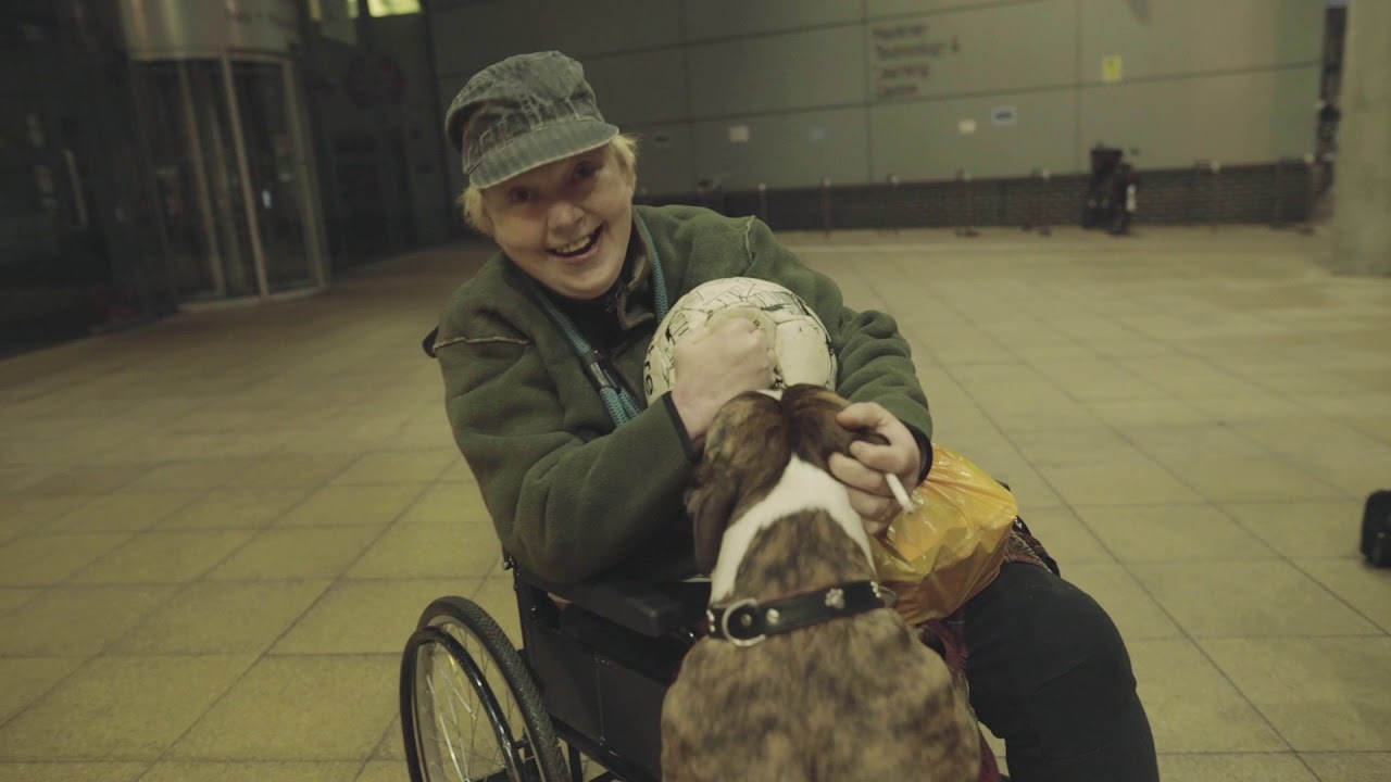 StreetVet - YouTube