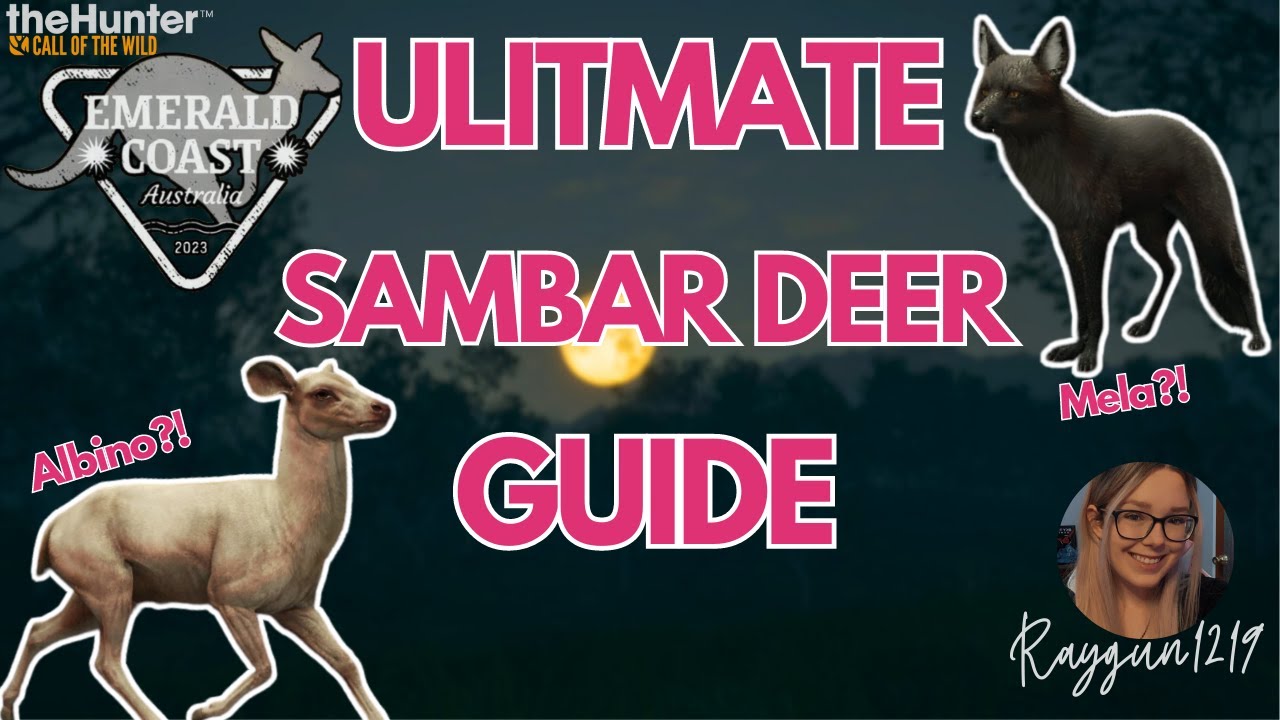 Ultimate Sambar Deer Guide - Call of The Wild - YouTube