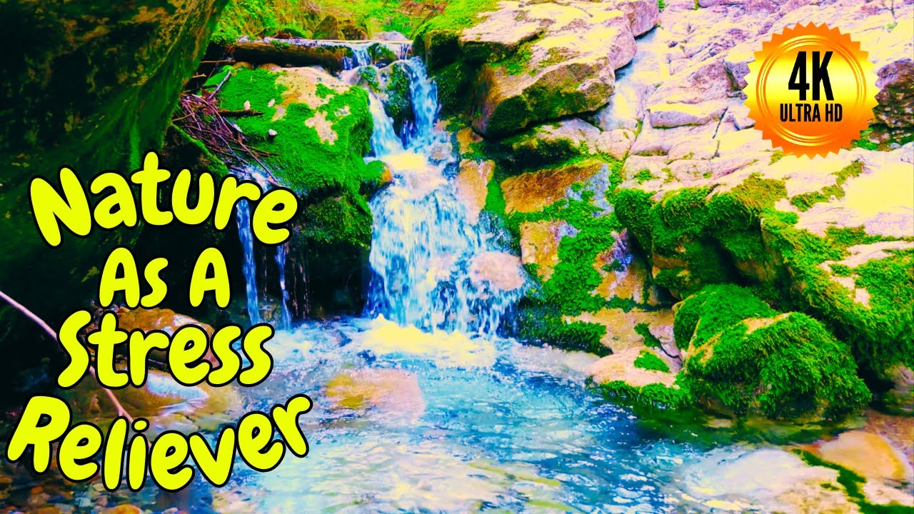Nature as a Stress Reliever - YouTube