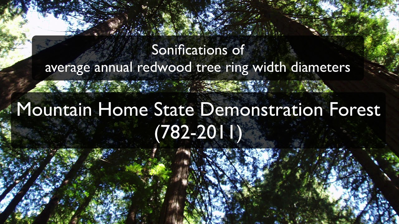 Mountain Home State Demonstration Forest (782-2011 AD) - YouTube