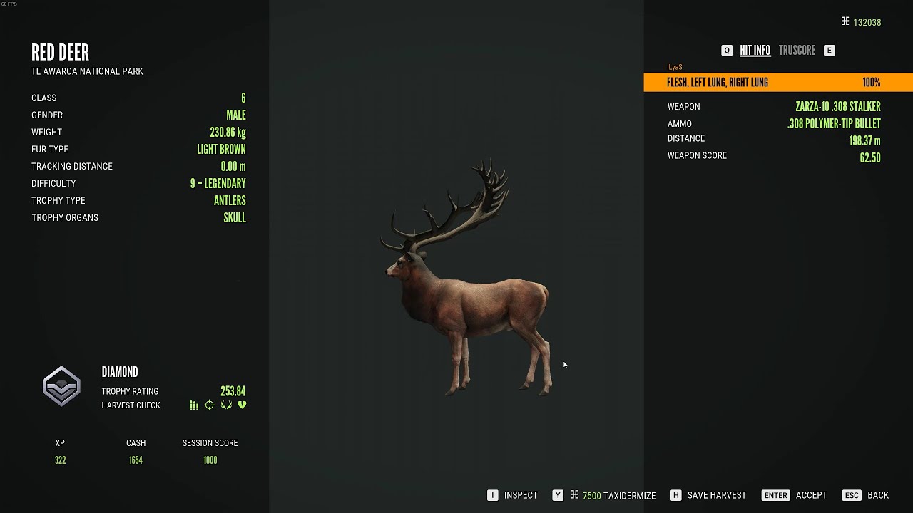 Red deer - 9/Diamond - theHunter Call of the Wild 2024 05 30 - YouTube