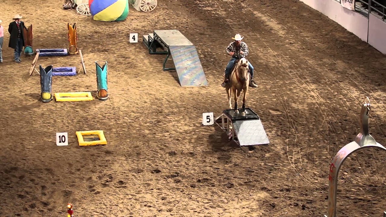 Shane Irvin -Cowboy Up Finals Calgary Stampede 2015 - YouTube