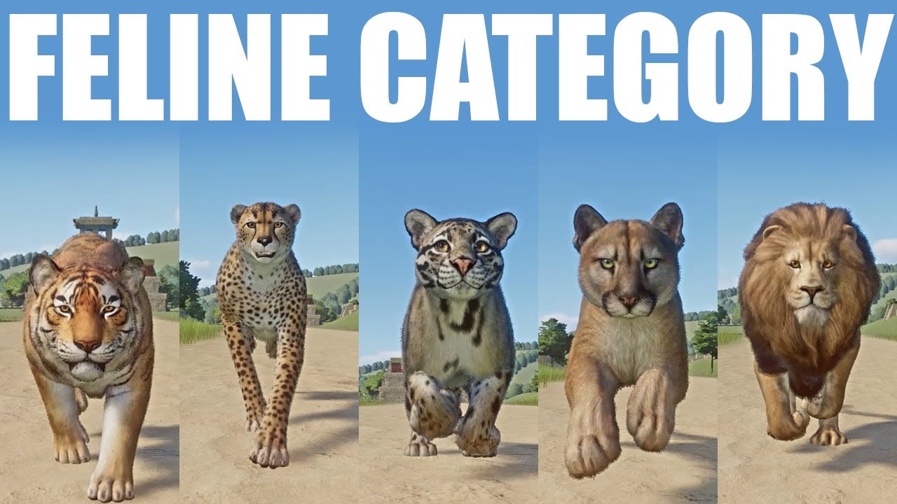 Feline Category Animals Speed Races in Planet Zoo included Cougar, Lion ...