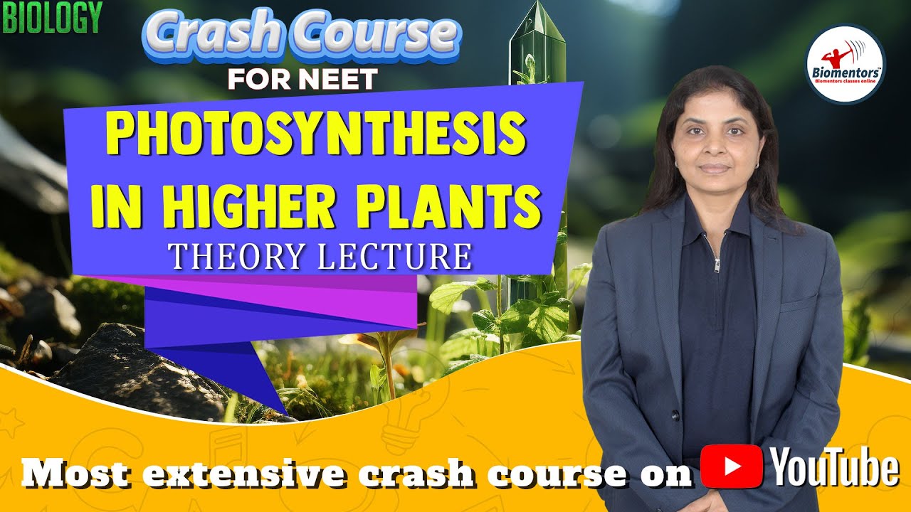 NEET l Biology l Photosynthesis in Higher Plants l Theory l Most ...