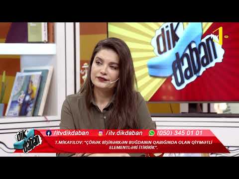 Süfrəmizdən əskik olmayan çörək haqqında nə qədər məlumatlıyıq?