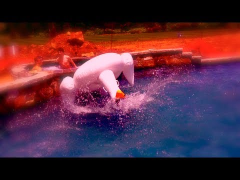 EPIC SWAN FAIL - YouTube