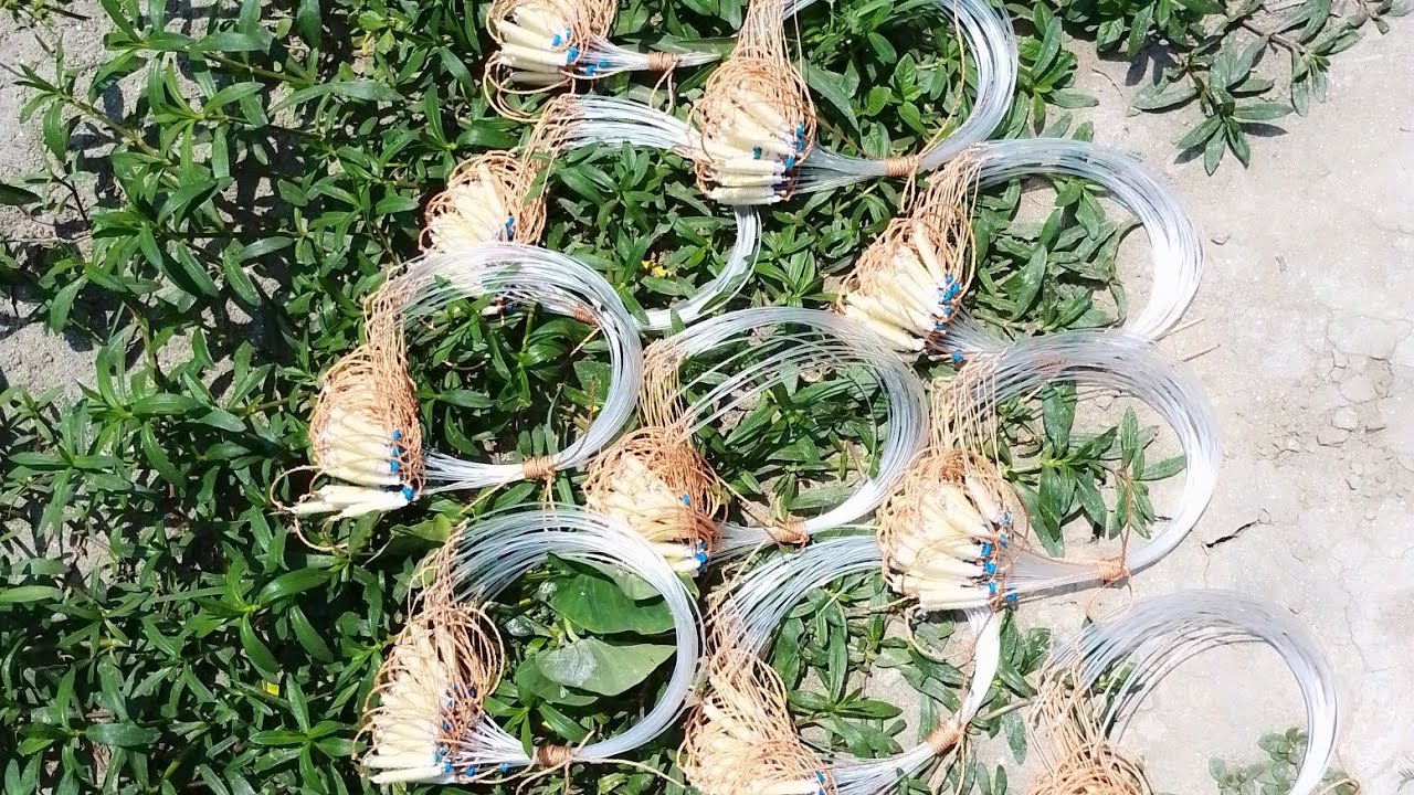 How to make waterhen dahuk bird trap.dak pakhi dhora fad.duck bird trap ...