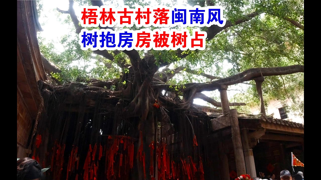 梧林古村落，有很多奇奇怪怪的房子Wulin ancient Village, there are many strange houses ...