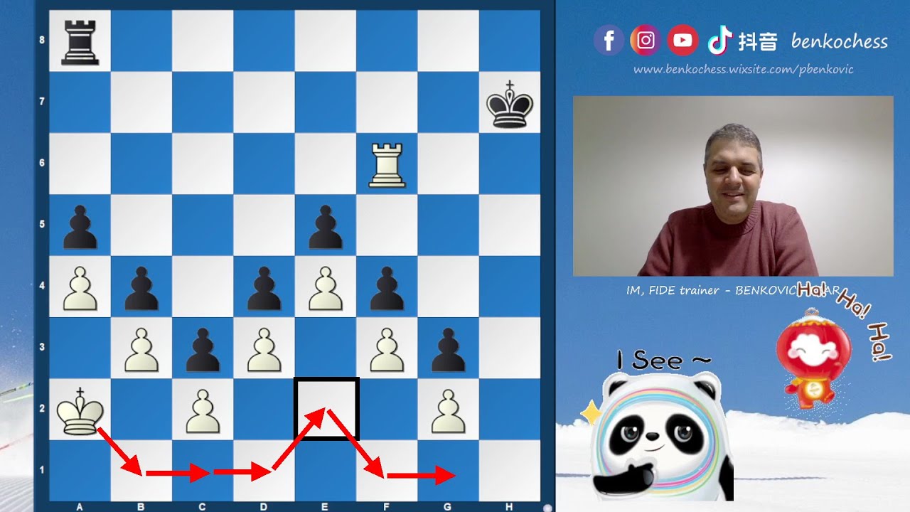 Chess Endgame | White to play and DRAW! (J. Hasek, 1937) - YouTube
