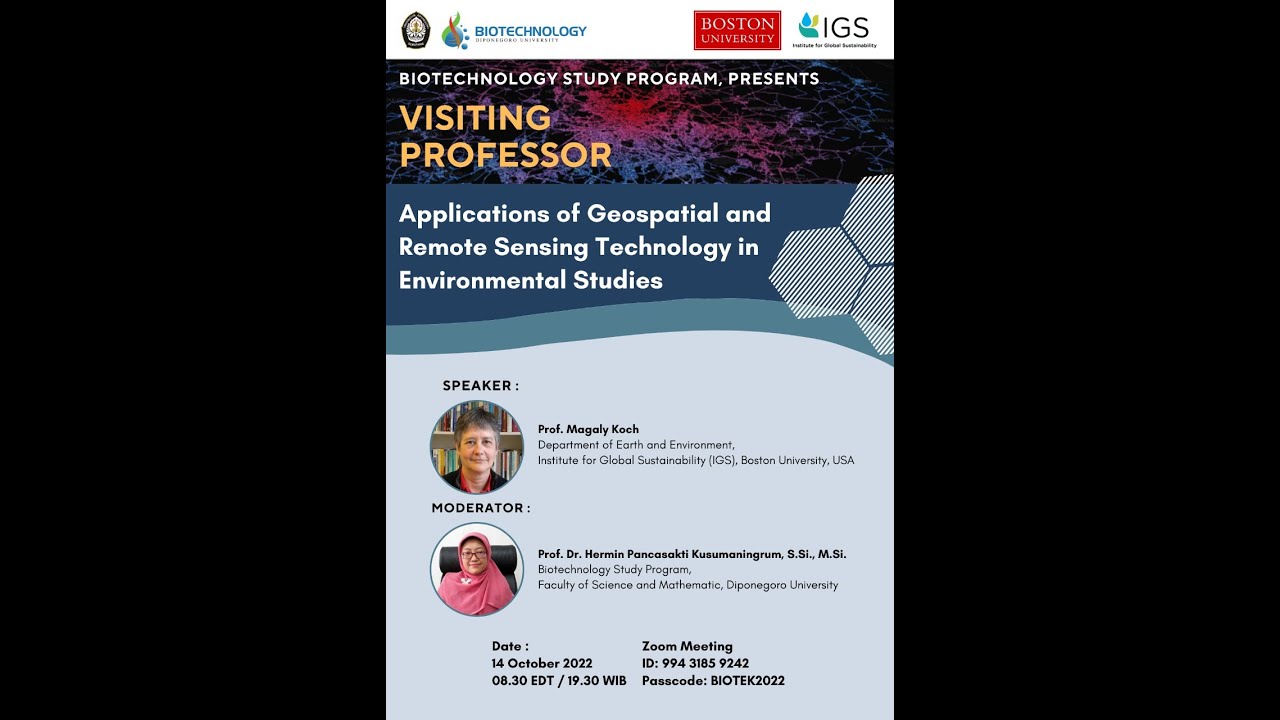Visiting Professor - YouTube