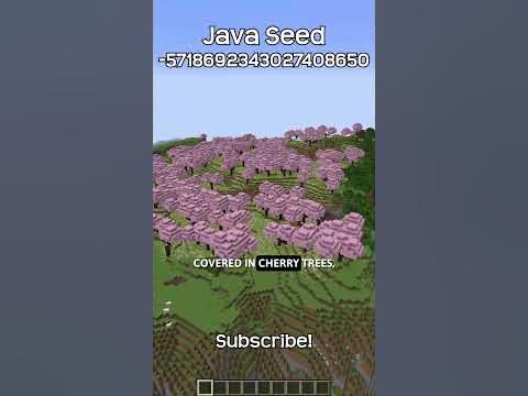 This Minecraft Java Seed Has A Lot Of Places For You To Build Your Next ...