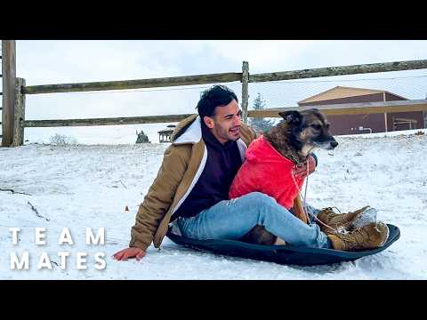 Retired Bomb Detection Dog Finally Gets Her Dream Snow Day | The Dodo