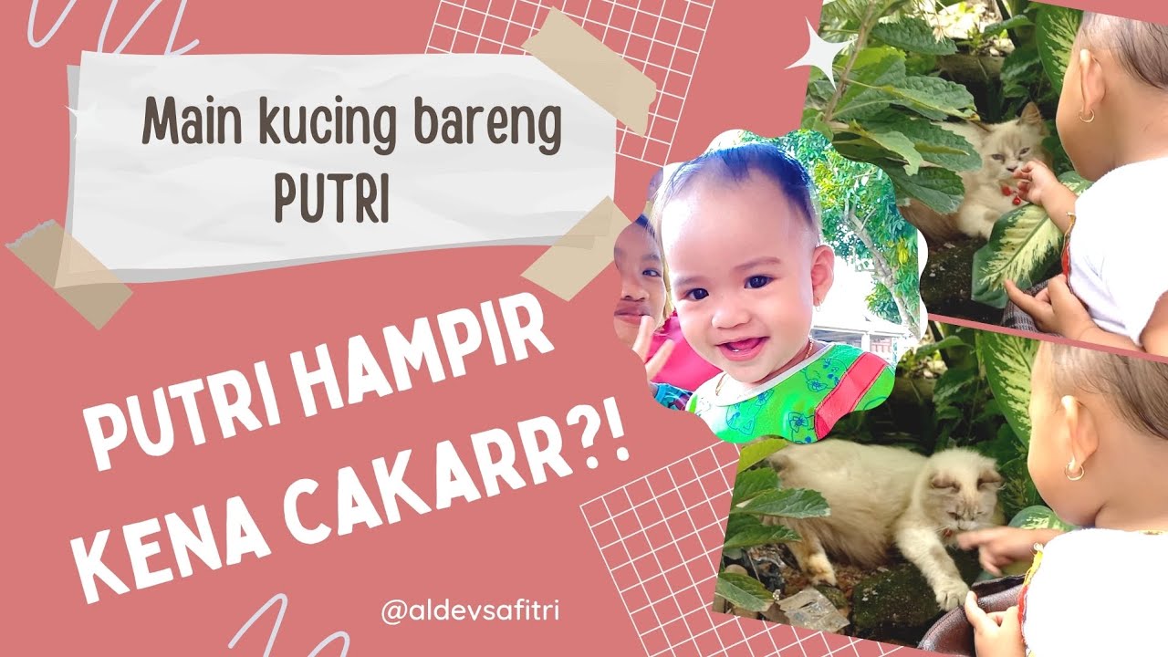 Mudik Naik Motor Bawa Kucing | Putri Hampir Kena Cakar ?! - YouTube