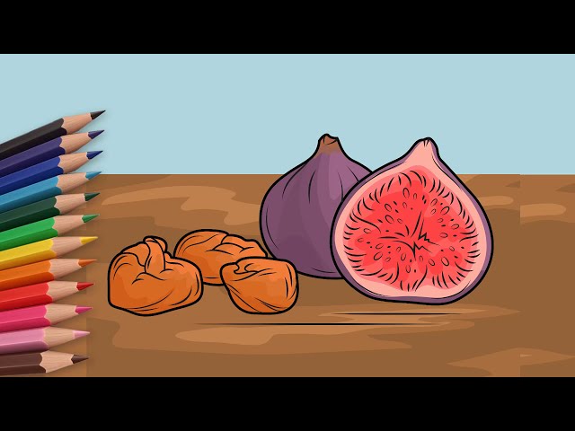 Fig Fruit Drawing