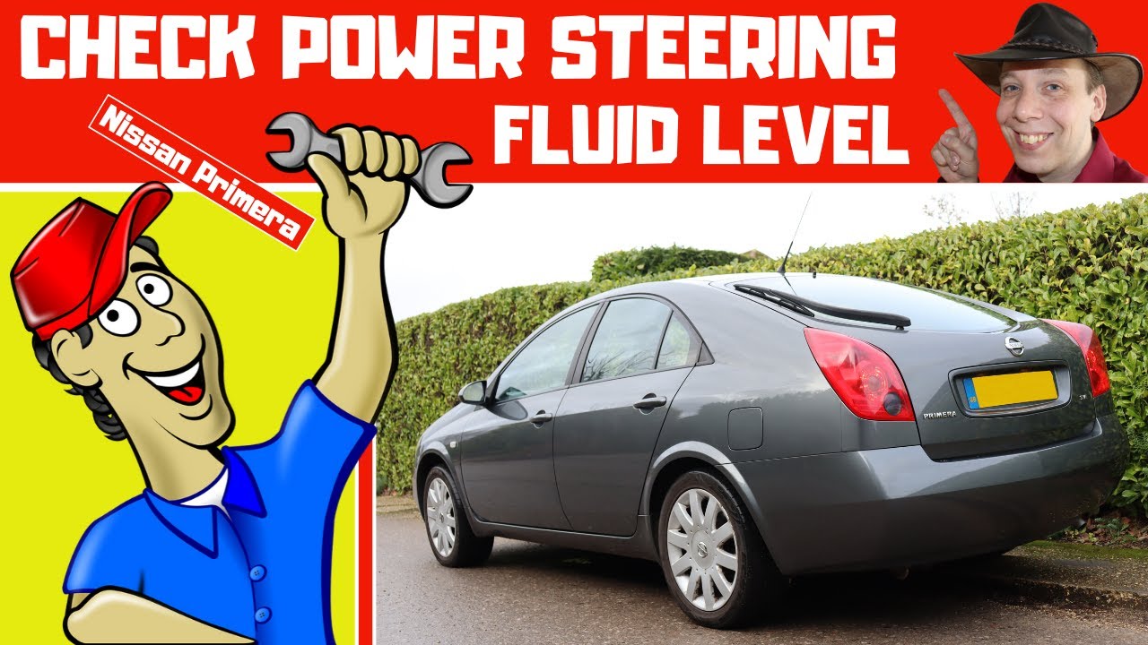How To Check Power Steering Fluid Level (Nissan Primera P12) - YouTube